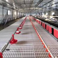 China Poultry Farming Automatic Egg Nesting Box Labor Saving For Floor Raised Layers for sale