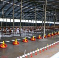 China Smart Automatic Chicken Feeding and Drinking System for Poultry Farms for sale
