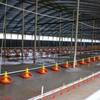 China Smart Automatic Chicken Feeding and Drinking System for Poultry Farms for sale