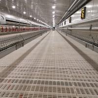 China Quick Assembly Poultry Plastic Slatted Floor Chicken Farms Slat Flooring 1200x500x40mm for sale