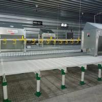 China Quick Assembly Poultry Plastic Slatted Floor Chicken Farms Slat Flooring 1200x500x40mm for sale