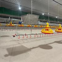 China Hygienic Design Automatic Chicken Feeder System Anti Waste For Broiler Farms for sale
