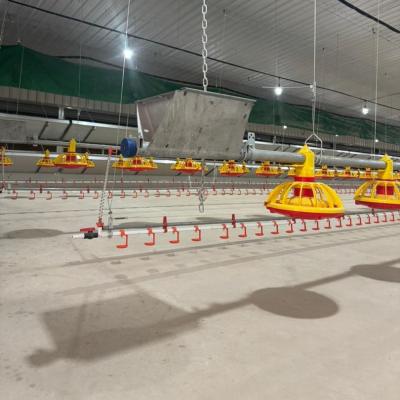 China Hygienic Design Automatic Chicken Feeder System Anti Waste For Broiler Farms for sale