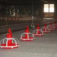 China Easy Cleaning Smart Poultry Feeding And Drinking System For Chicken Broilers for sale