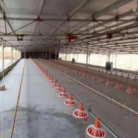 China Easy Cleaning Smart Poultry Feeding And Drinking System For Chicken Broilers for sale
