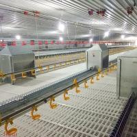 China Adjustable Poultry Feeding and Drinking System Chicken Feeder and Drinker for Farming for sale