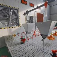 China Adjustable Poultry Feeding and Drinking System Chicken Feeder and Drinker for Farming for sale