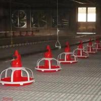 China Adjustable Poultry Feeding and Drinking System Chicken Feeder and Drinker for Farming for sale