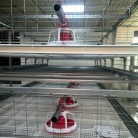 China Hot Dipped Galvanized Chicken Broiler Cage Automatic Cage System For Broiler Chicken for sale