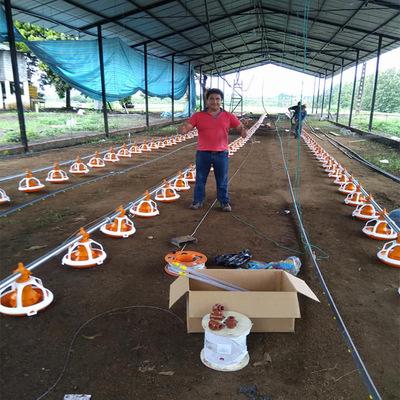 China Adjustable Poultry Feeding and Drinking System Chicken Feeder and Drinker for Farming for sale