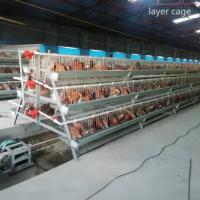 China Automatic Poultry Farming Equipment  3-4 Tiers Chicken Layer Battery Cage Customizable for sale