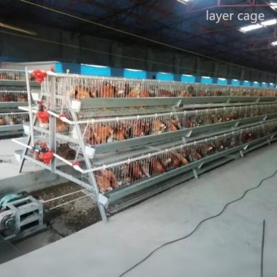 China Automatic Poultry Farming Equipment  3-4 Tiers Chicken Layer Battery Cage Customizable for sale