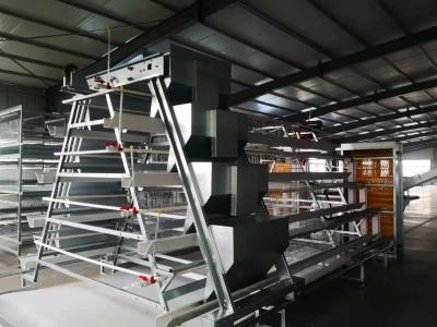 China Galvanized Structure Poultry Chicken Layer Battery Cage A Frame With Egg Collection System for sale