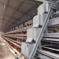 China Hot Dipped Galvainzed A Type Layer Chicken Cage Space Saving With Integrated Watering for sale