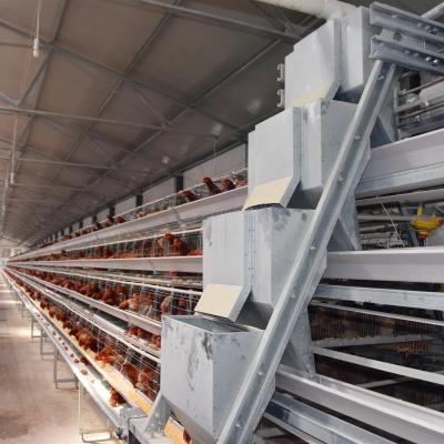 China Hot Dipped Galvainzed A Type Layer Chicken Cage Space Saving With Integrated Watering for sale
