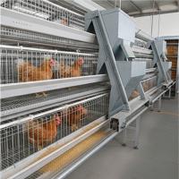 China Customized Size A Type Layer Cage Automated Layer Breeding Cage For Poultry Farming for sale