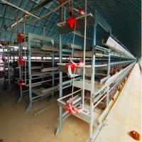 China Customized Size A Type Layer Cage Automated Layer Breeding Cage For Poultry Farming for sale