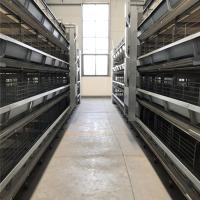China Customized Size A Type Layer Cage Automated Layer Breeding Cage For Poultry Farming for sale