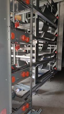 China Poultry Farm H Type Battery Cages Commercial Layer Cages Space Saving Corrosion Resistant for sale