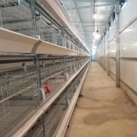 China Automatic H Type Chicken Cage Multi Tiers Stacked Poultry Farms Layer Cage for sale