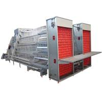China Automatic H Type Chicken Cage Multi Tiers Stacked Poultry Farms Layer Cage for sale