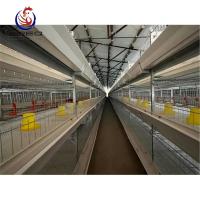 China Automatic H Type Chicken Cage Multi Tiers Stacked Poultry Farms Layer Cage for sale