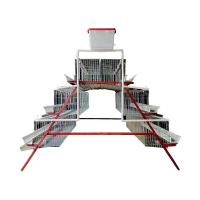 China Custom Multi Tier A Type Layer Cage System Chicken Egg Laying Cages Low maintenance for sale