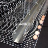 China Custom Multi Tier A Type Layer Cage System Chicken Egg Laying Cages Low maintenance for sale