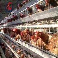 China Poultry Farm A Frame Layer Cage Chicken Egg Laying Cages Anti Rust Easy Installation for sale