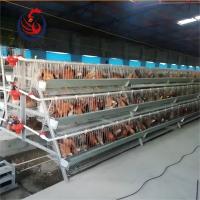 China Poultry Farm A Frame Layer Cage Chicken Egg Laying Cages Anti Rust Easy Installation for sale