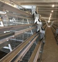 China Hot Galvanized A Type Layer Cage High Top Chicken Brooder Box 3 Tiers 4 Tiers for sale