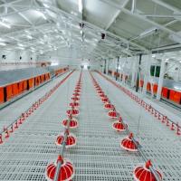 China High Strength PP Poultry Pan Feeding System Anti Waste Design For Broiler Production for sale