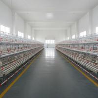 China Rust Resistant Chicken Poultry Farm Equipment Broiler Cage System Multi Tier Designs for sale