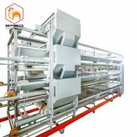 China Rust Resistant Chicken Poultry Farm Equipment Broiler Cage System Multi Tier Designs for sale