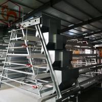China Rust Resistant Chicken Poultry Farm Equipment Broiler Cage System Multi Tier Designs for sale