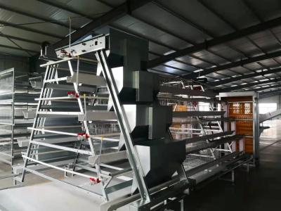 China Automatic Feeding Chicken Cage A Type Layer Cage 3 Tiers  4 Tiers Low Maintenance for sale