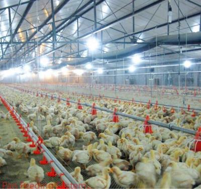 China Easy Cleaning Poultry Farm Equipment Feed Saving PP Pan Feeding System For Broiler for sale