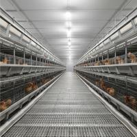 China Galvanized Construction Chicken Farm H Type Layer Cage With Automatic Egg Collection for sale