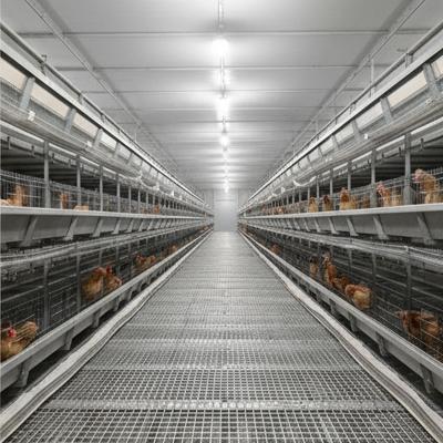 China Galvanized Construction Chicken Farm H Type Layer Cage With Automatic Egg Collection for sale