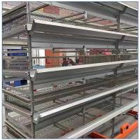 China Galvanized Construction Chicken Farm H Type Layer Cage With Automatic Egg Collection for sale