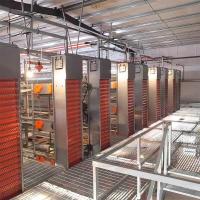 China Galvanized Construction Chicken Farm H Type Layer Cage With Automatic Egg Collection for sale