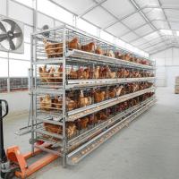 China Galvanized Poultry Farm Equipment H Type Battery Cage For Broiler And Layer Chickens for sale