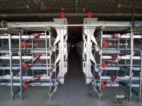 China Galvanized Poultry Farm Equipment H Type Battery Cage For Broiler And Layer Chickens for sale