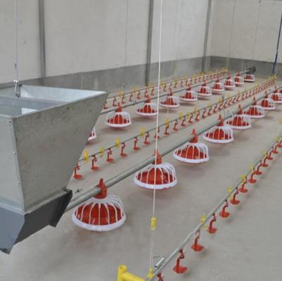 China Customizable Poultry Breeding Broiler Equipment Chicken Farm Feeding Line for sale