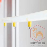 China Customizable Poultry Breeding Broiler Equipment Chicken Farm Feeding Line for sale