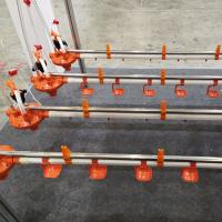 China Automatic Management Poultry Feed Equipment Chicken Feeder For Broiler Farm for sale