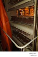 China Steel Construction Automatic Broiler Chicken Cage H Type Poultry House Equipment for sale