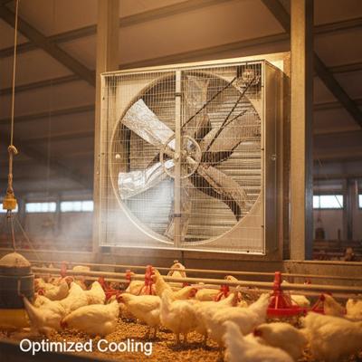 China Poultry House Galvanized Exhaust Fan Strong Wind Ventilation Fan High Airflow for sale