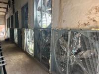 China Chicken Coop 	Evaporative Cooling Pad Automatic Ventilation Fan Air Inlet Window for sale