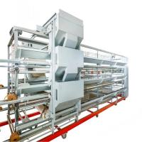 China Chicken Farming Equipment H Type Automatic Broiler Chicken Cage Vertically Stacked for sale